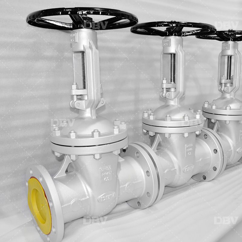 DIN Cast steel gate valve