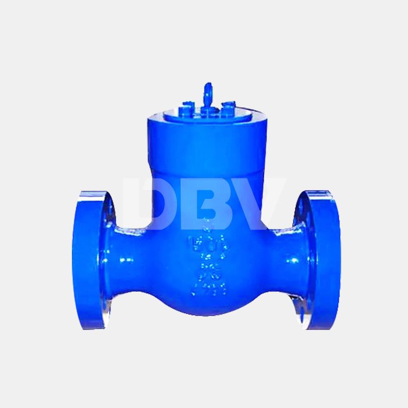 DBV Check Valve